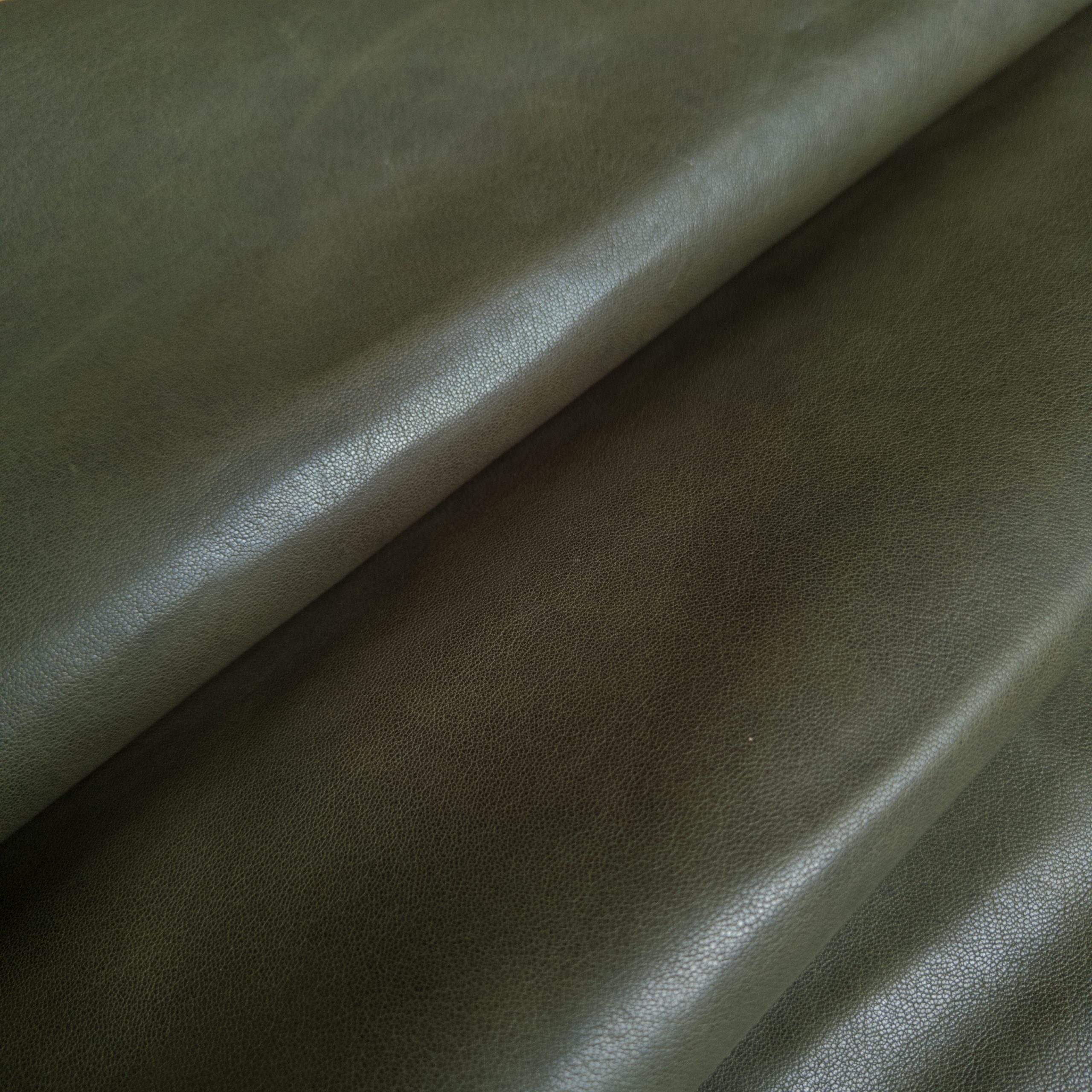 Italy Kelp Green Goatskin Leather – Island Leather Supply